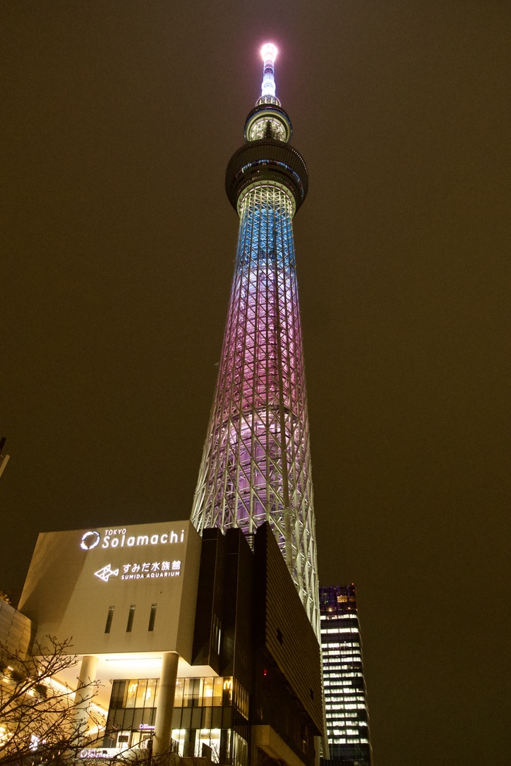 The Tallest Freestanding Tower: Sky Tree in Tokyo – Nature City Visions ...